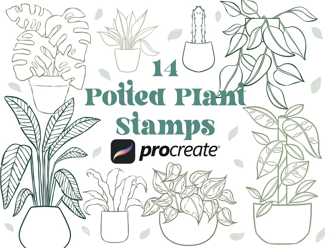 14 Potted Plant Procreate Stamps | Plant Brush | Boho Procreate Stamps ...