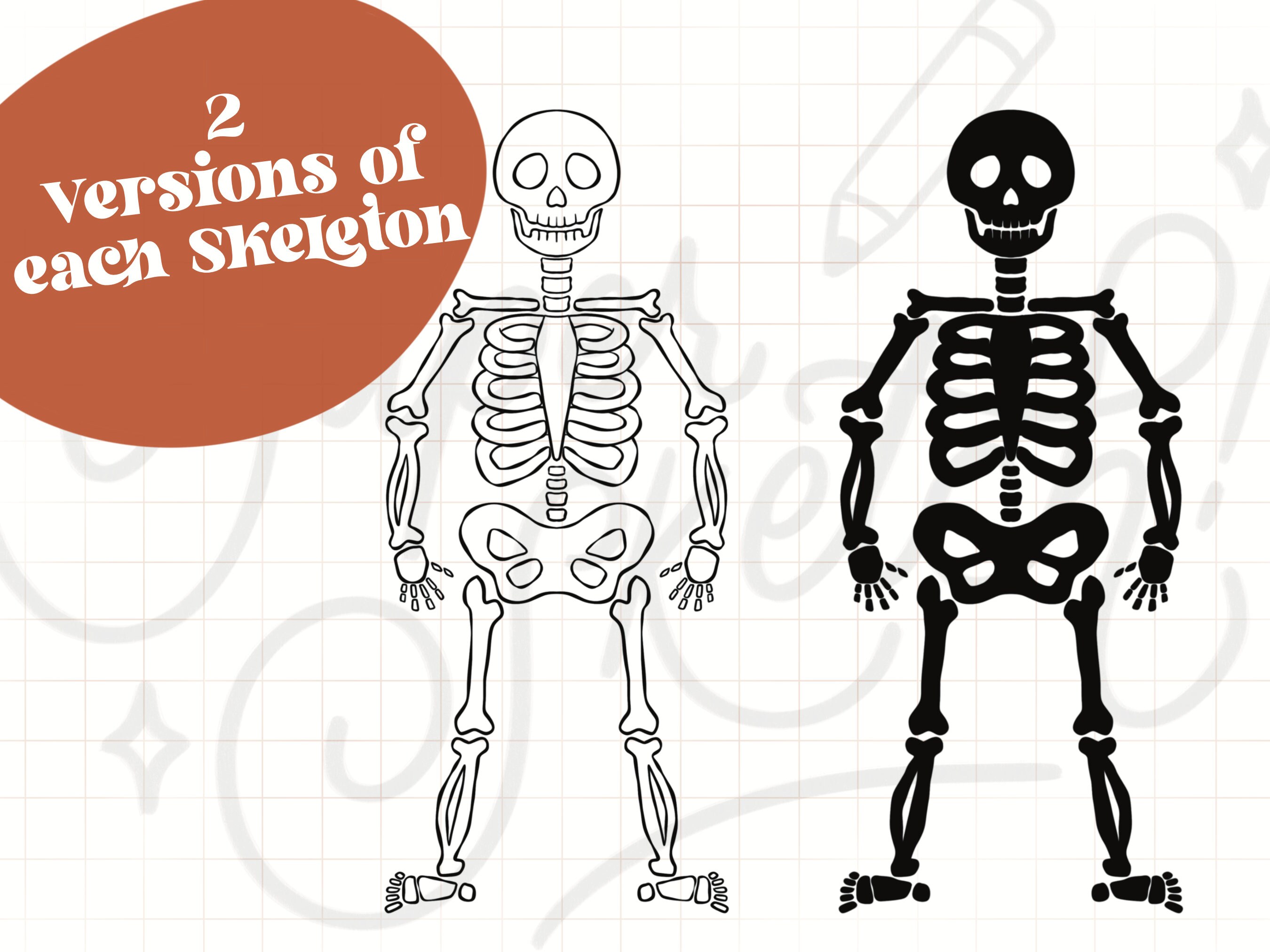 33 Skeleton Procreate Brushes Skeleton Doodle Brush - Etsy