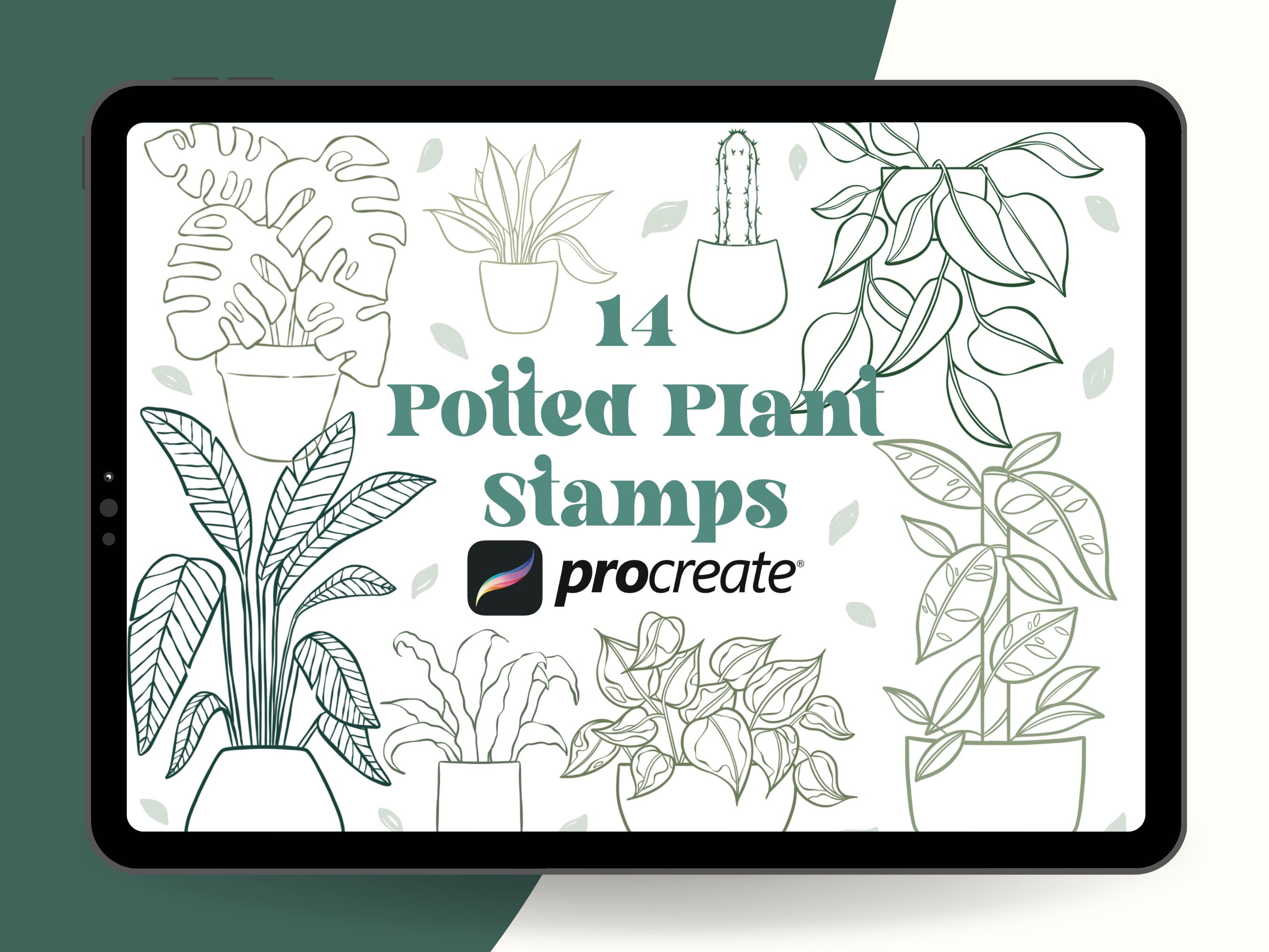 14 Potted Plant Procreate Stamps | Plant Brush | Boho Procreate Stamps ...