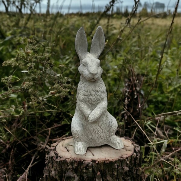 Concrete Rabbit - Etsy