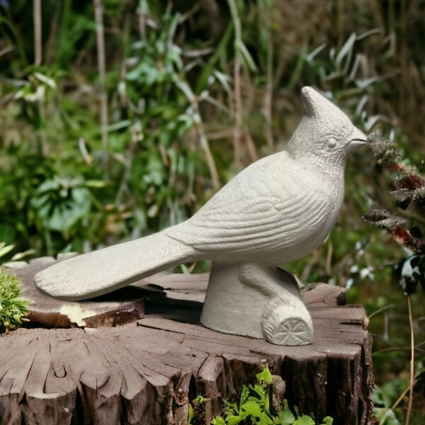 Bird Cardinal - Etsy