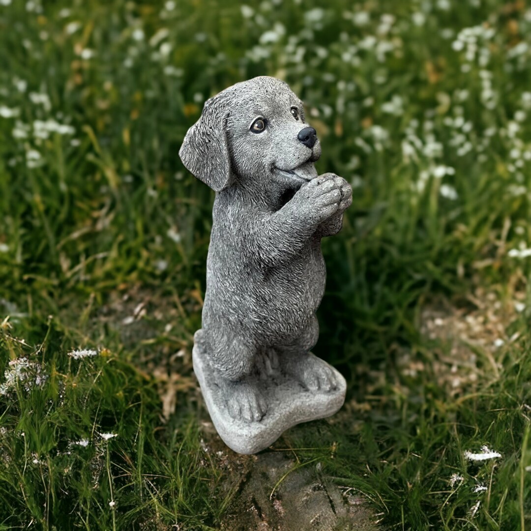 Begging Puppy Garden Statue Stone Pet Figure for Backyard - Etsy