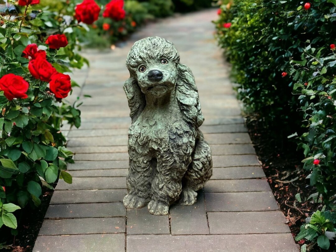 Poodle Puppy Statue Sitting Curious Poodle Dog Sculpture Real Size ...