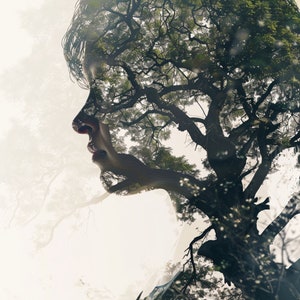 Midjourney Prompt+images: Double Exposure Art - Custom Wall Art, T ...