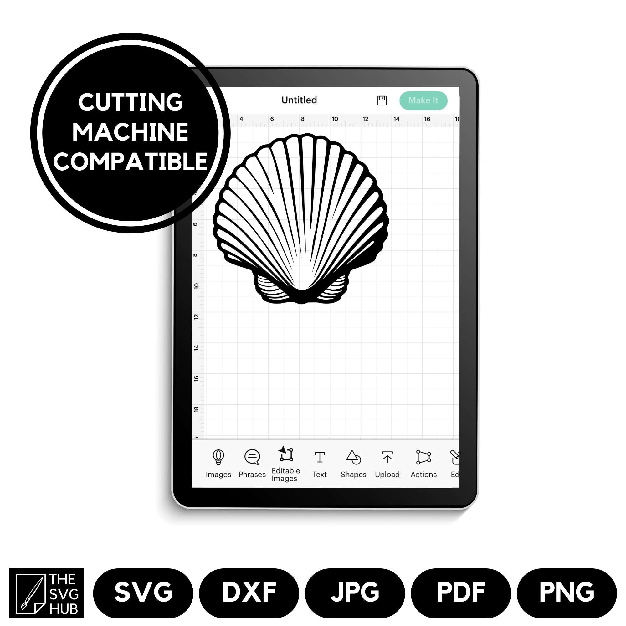 Sea Shell SVG Instant Digital Download - Summertime Silhouette Clipart ...