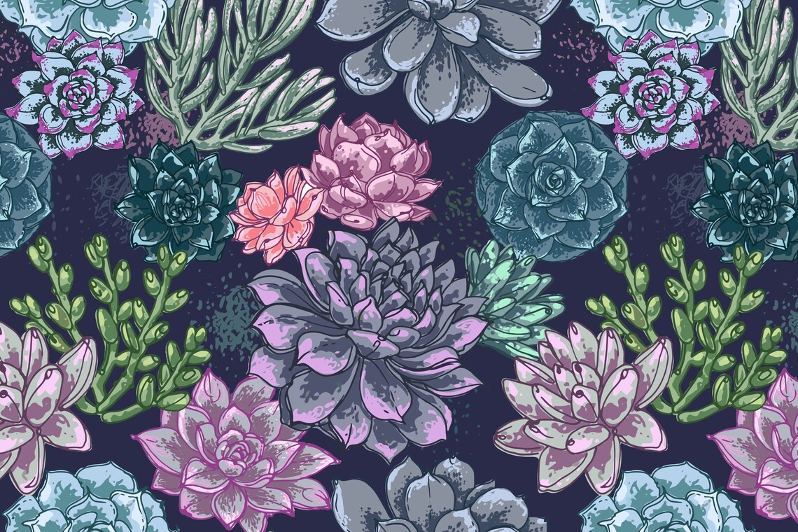 Succulents. Vector Color Flowers Clipart - Etsy