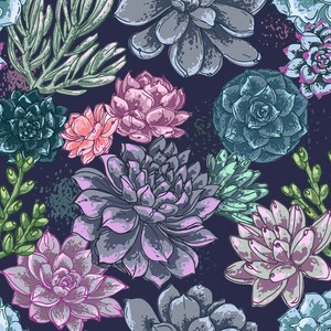 Succulents. Vector Color Flowers Clipart - Etsy