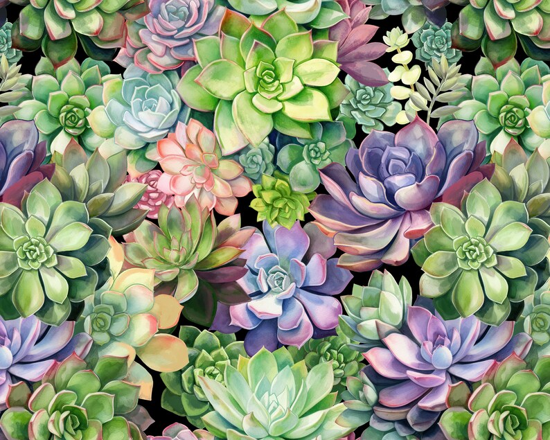 Succulents Pattern and Elements. Floral Exotic Clipart Without ...