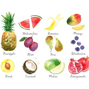 Poster With Watercolor Vegetables and Fruits English Alphabet. Decor ...