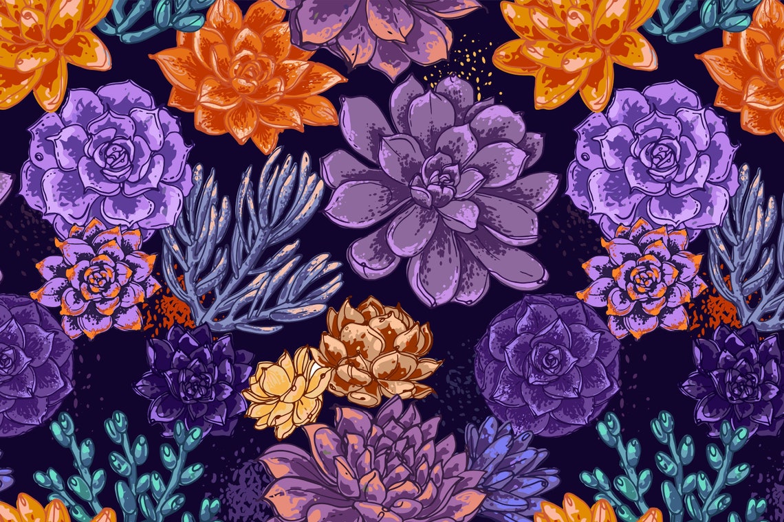 Succulents. Vector Color Flowers Clipart - Etsy
