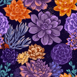 Succulents. Vector Color Flowers Clipart - Etsy