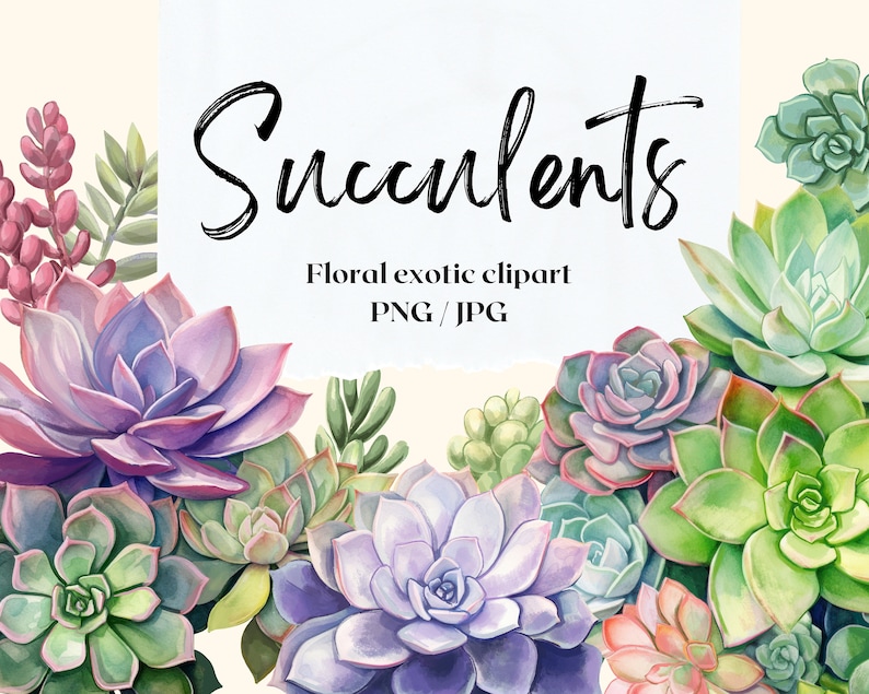 Succulents Pattern and Elements. Floral Exotic Clipart Without ...