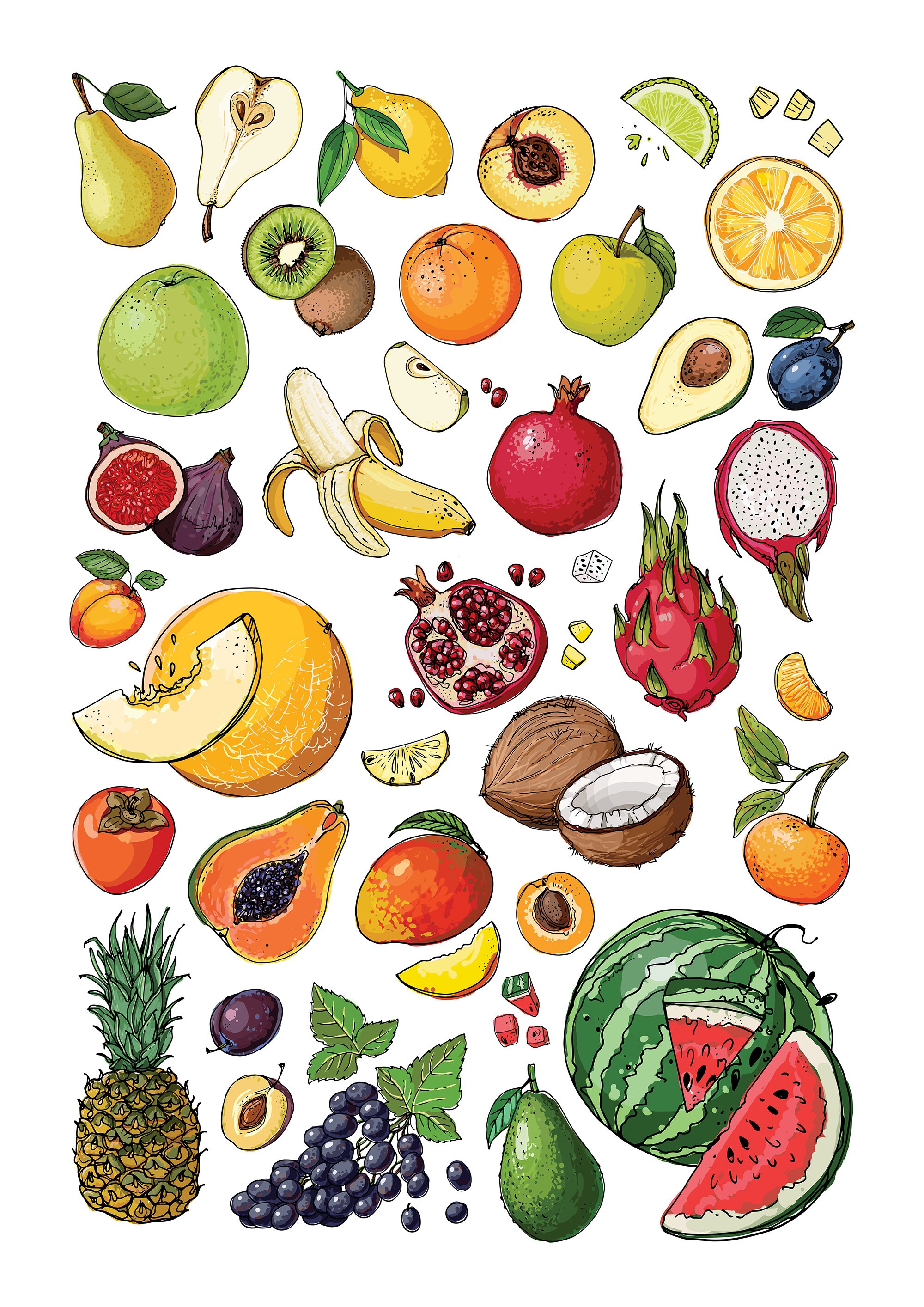 Kitchen Printable Art. Food Illustration Poster. A2 Print Based on ...