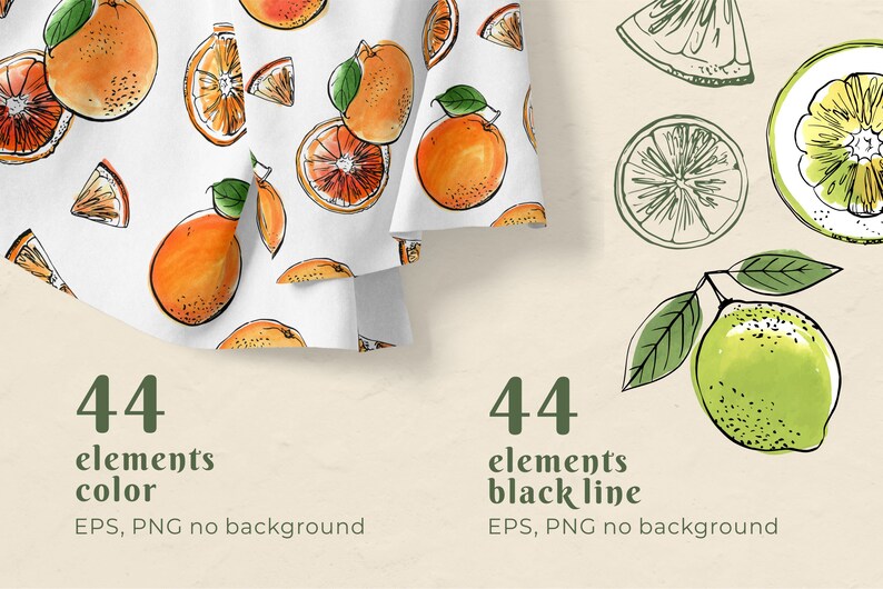 Citrus Sketch Watercolor Vector Colors Ketch. Oranges and Lemons - Etsy