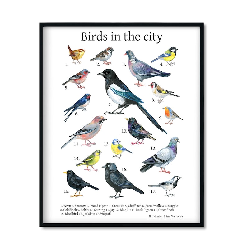 Posters City Birds English. Decor for the Nursery and Class. - Etsy