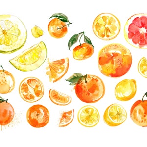 Poster With Watercolor Vegetables and Fruits English Alphabet. Decor ...