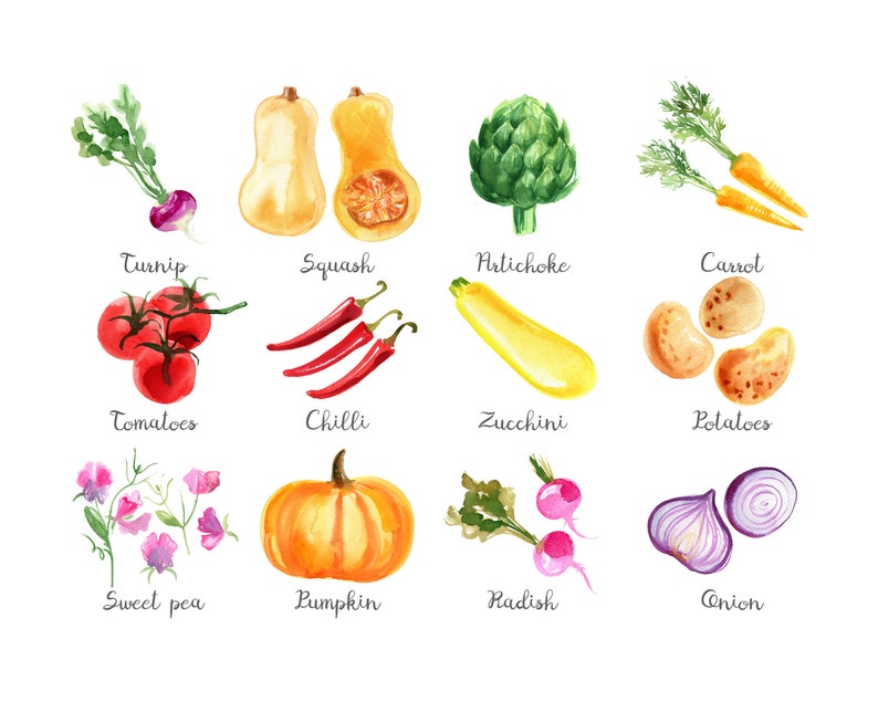 Poster With Watercolor Vegetables and Fruits English Alphabet. Decor ...