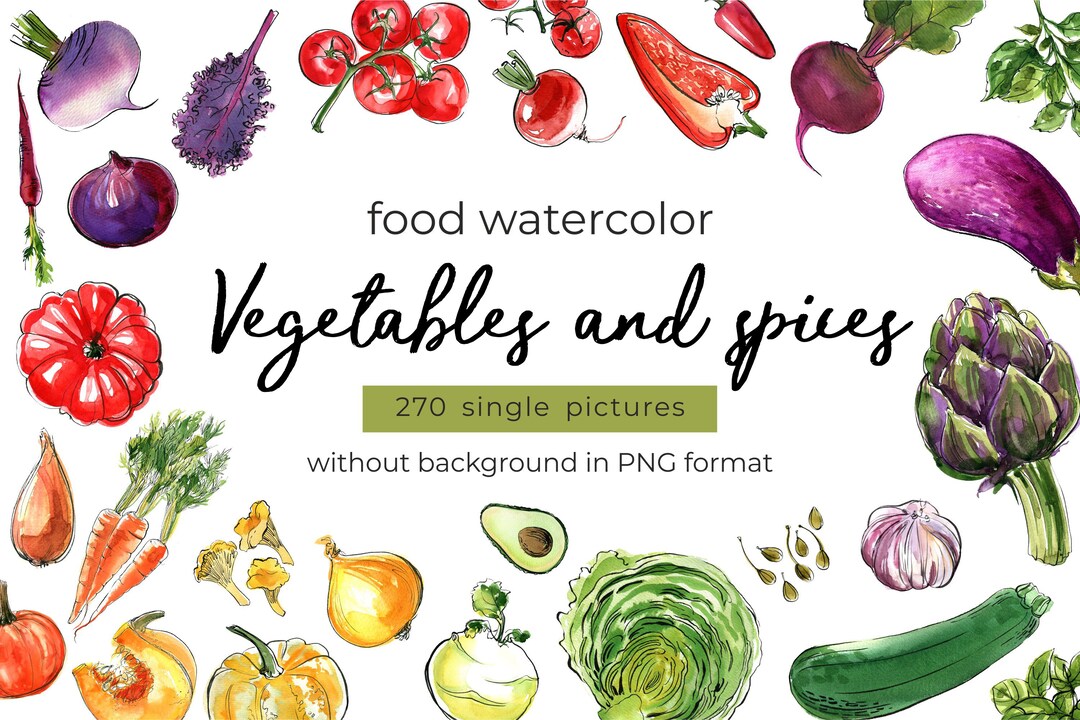 Watercolor Food Color Ink Sketch: Vegetables and Herbs. - Etsy