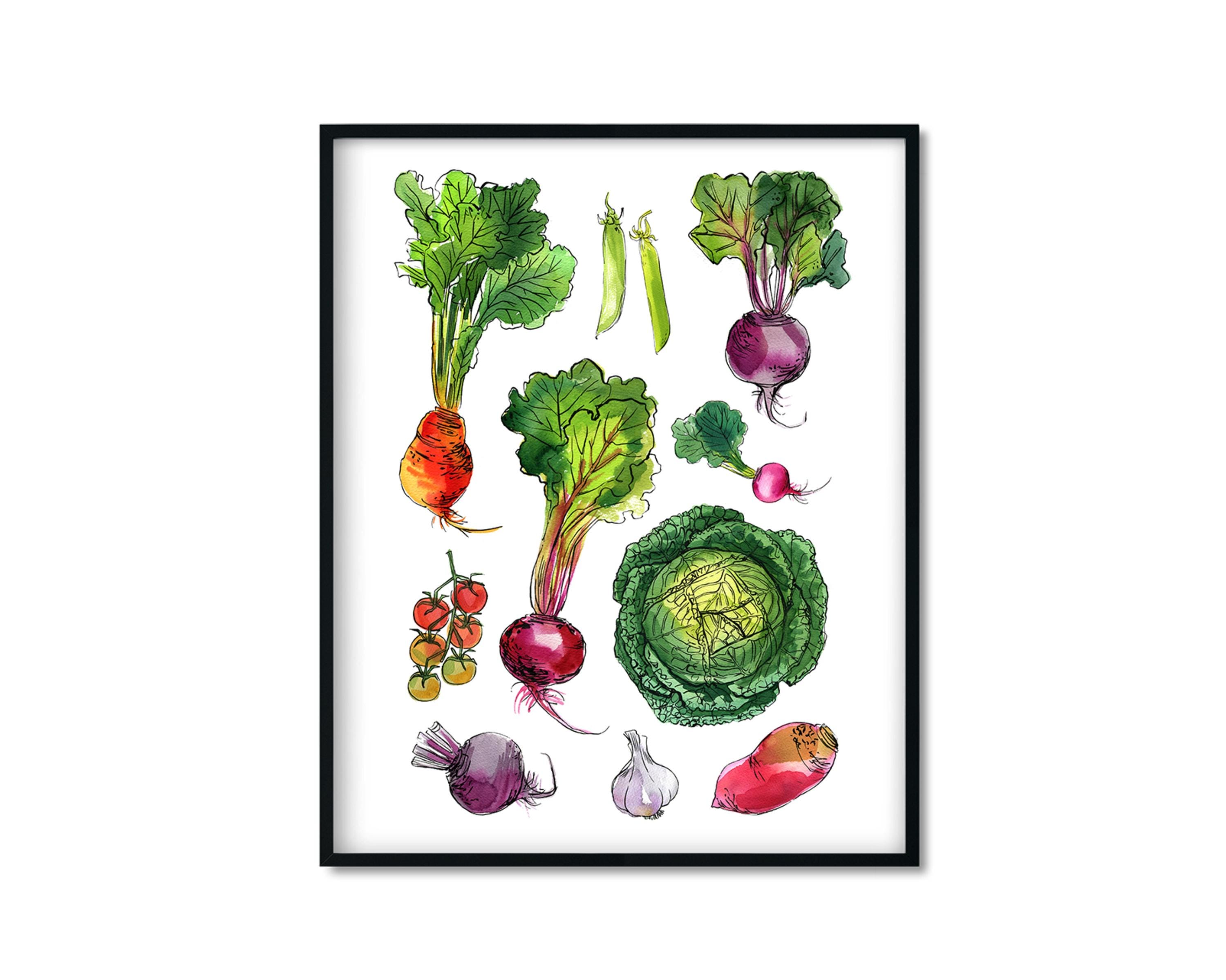 Posters of Colorful Vegetables in Watercolor and Ink. Posters With Food ...
