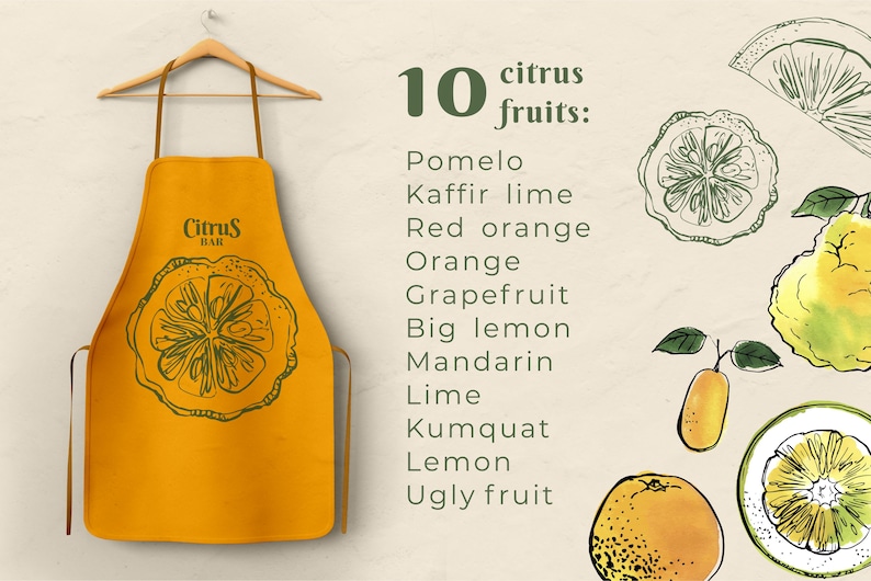 Citrus Sketch Watercolor Vector Colors Ketch. Oranges and Lemons - Etsy