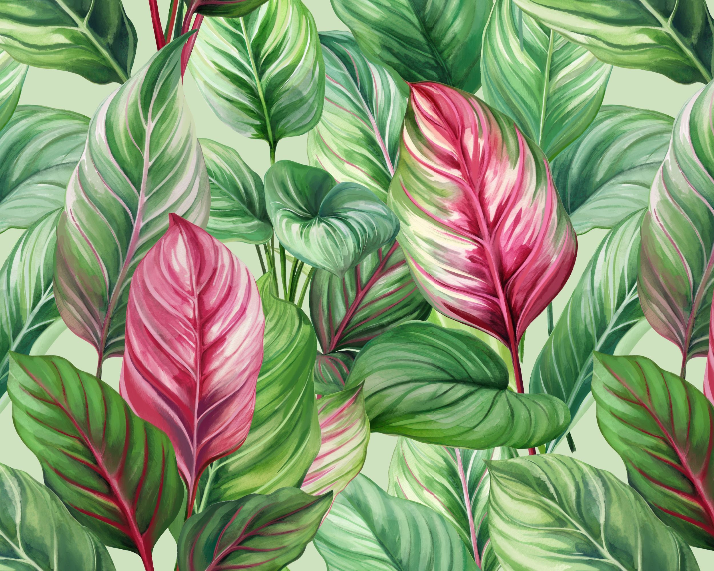 Caladium. Tropical Leaves Patterns and Elements. Floral Exotic Clipart ...