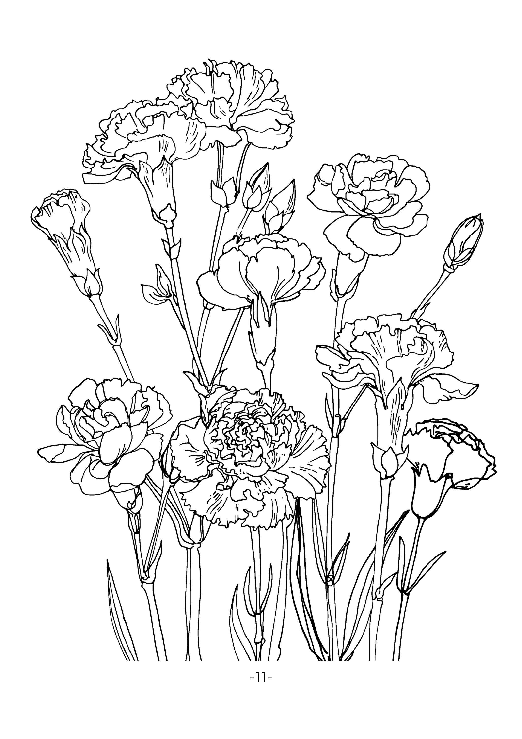 Flowers. Coloring Book.: Calming Drawing for Adults and Children. Hobby ...