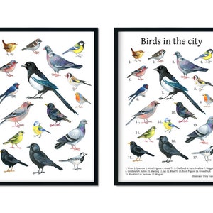 Posters City Birds English. Decor for the Nursery and Class. - Etsy