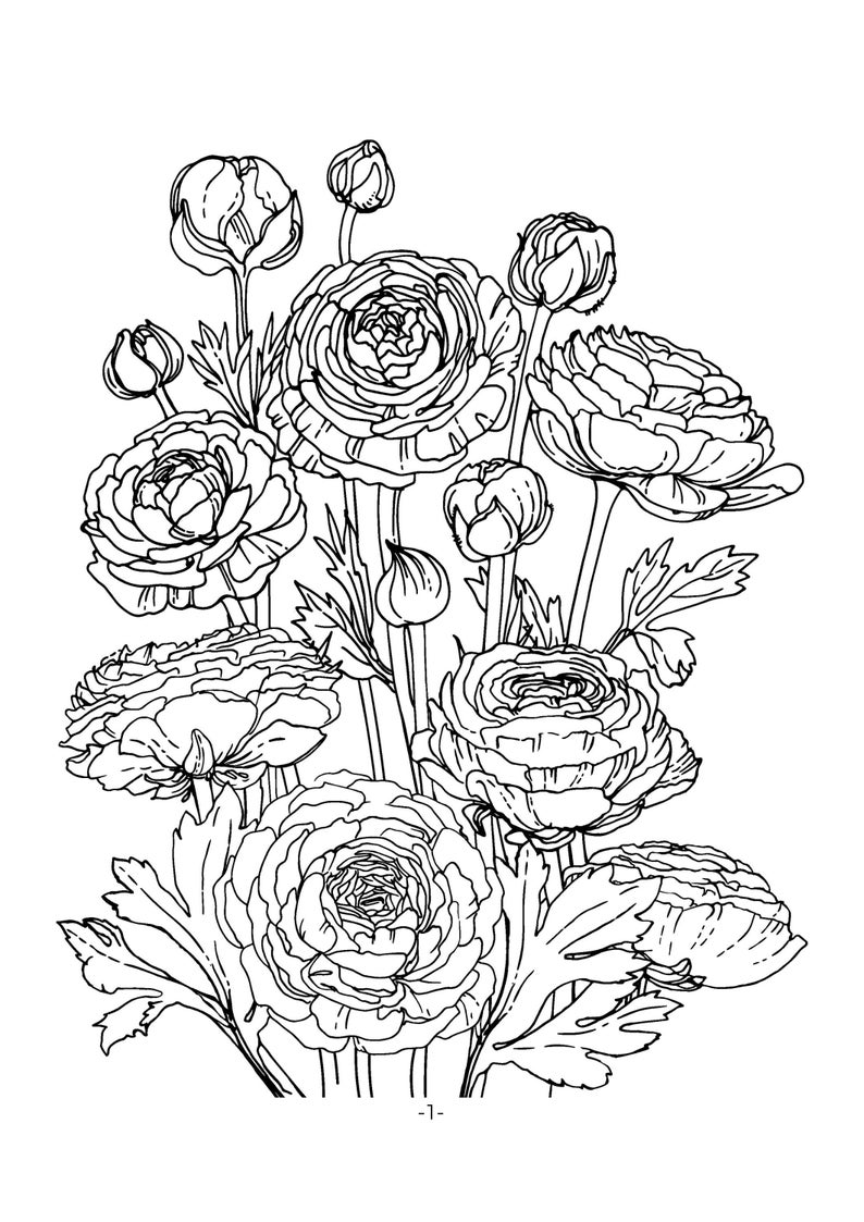 Flowers. Coloring Book.: Calming Drawing for Adults and Children. Hobby ...