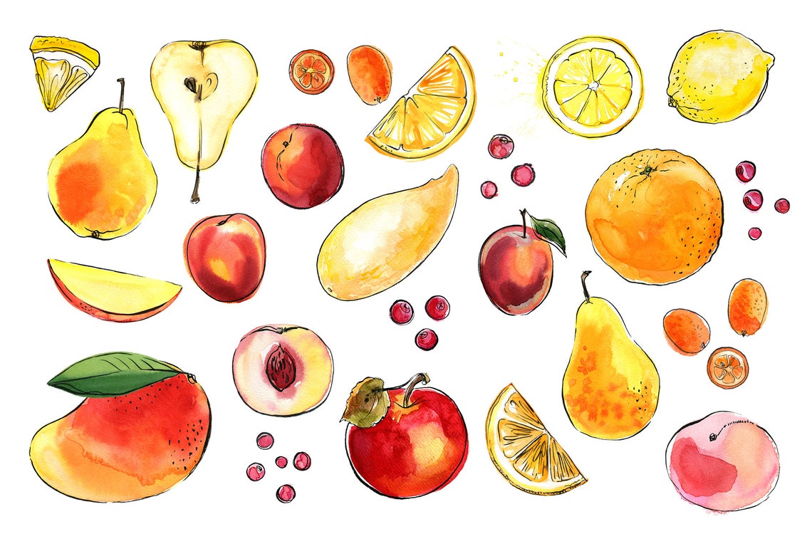 Watercolor Food Color Ink Sketch: Fruit, Berries, Citrus. - Etsy