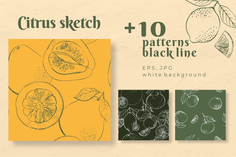 Citrus Sketch Watercolor Vector Colors Ketch. Oranges and Lemons - Etsy