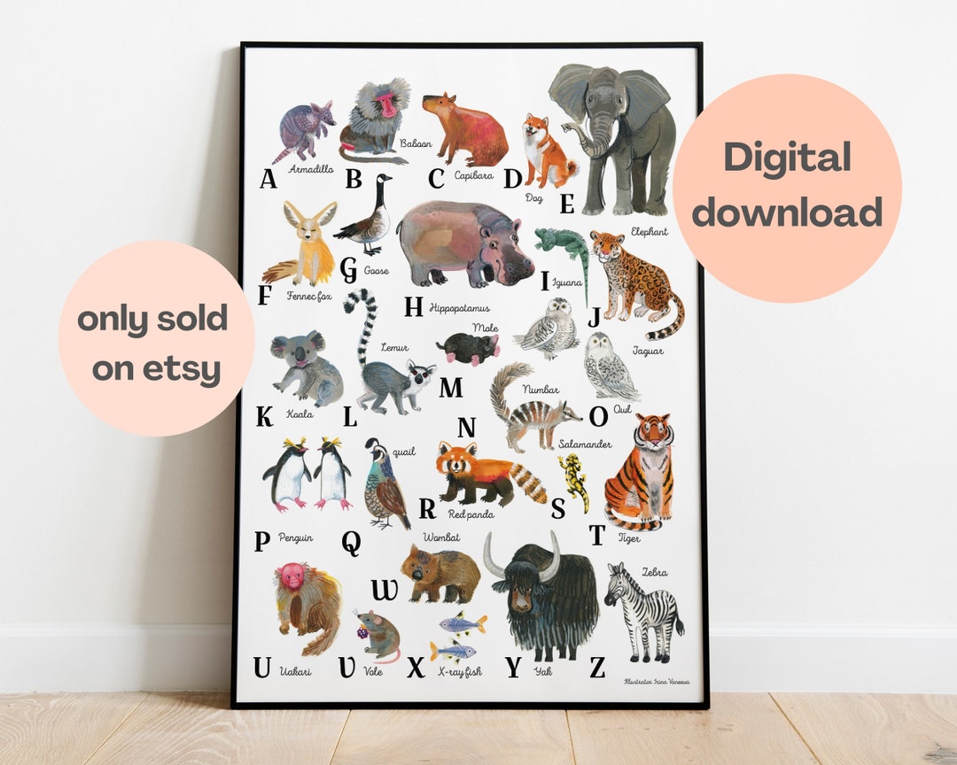 Animals Poster English Alphabet. Decor for the Nursery and Class. - Etsy
