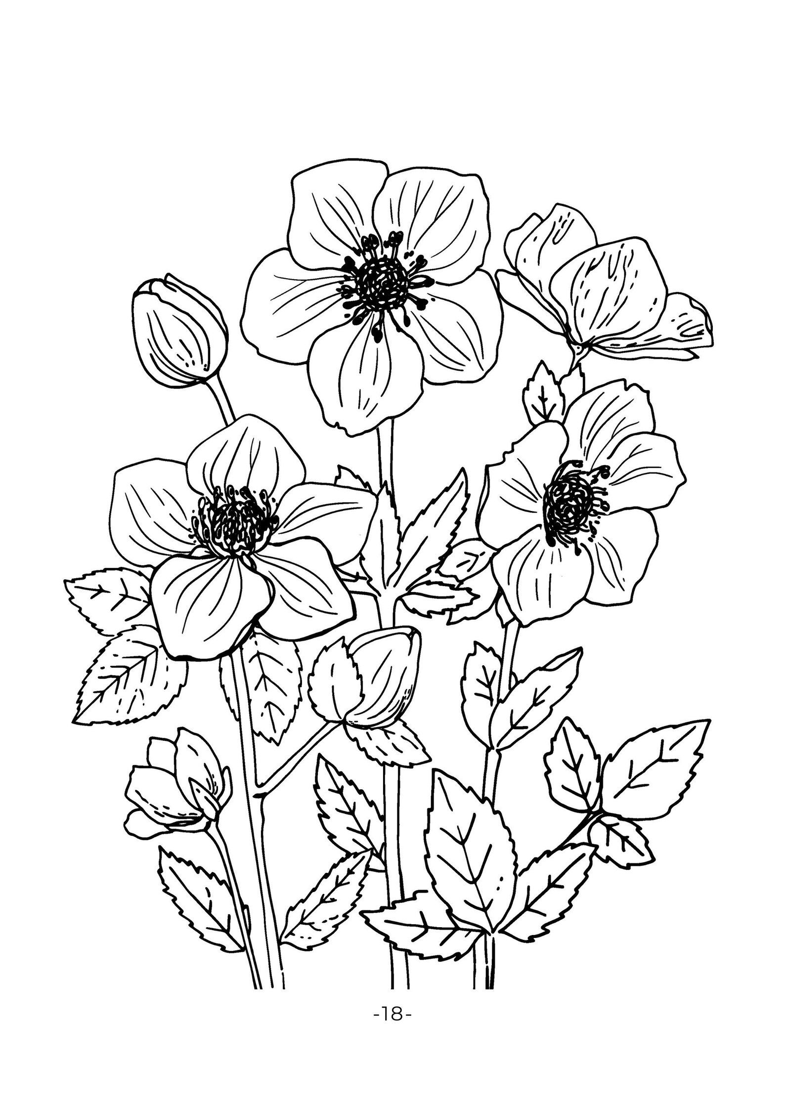 Flowers. Coloring Book.: Calming Drawing for Adults and Children. Hobby ...