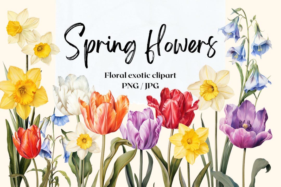 Spring Flowers. Tulips. Floral Elements. Floral Exotic Clipart Without ...