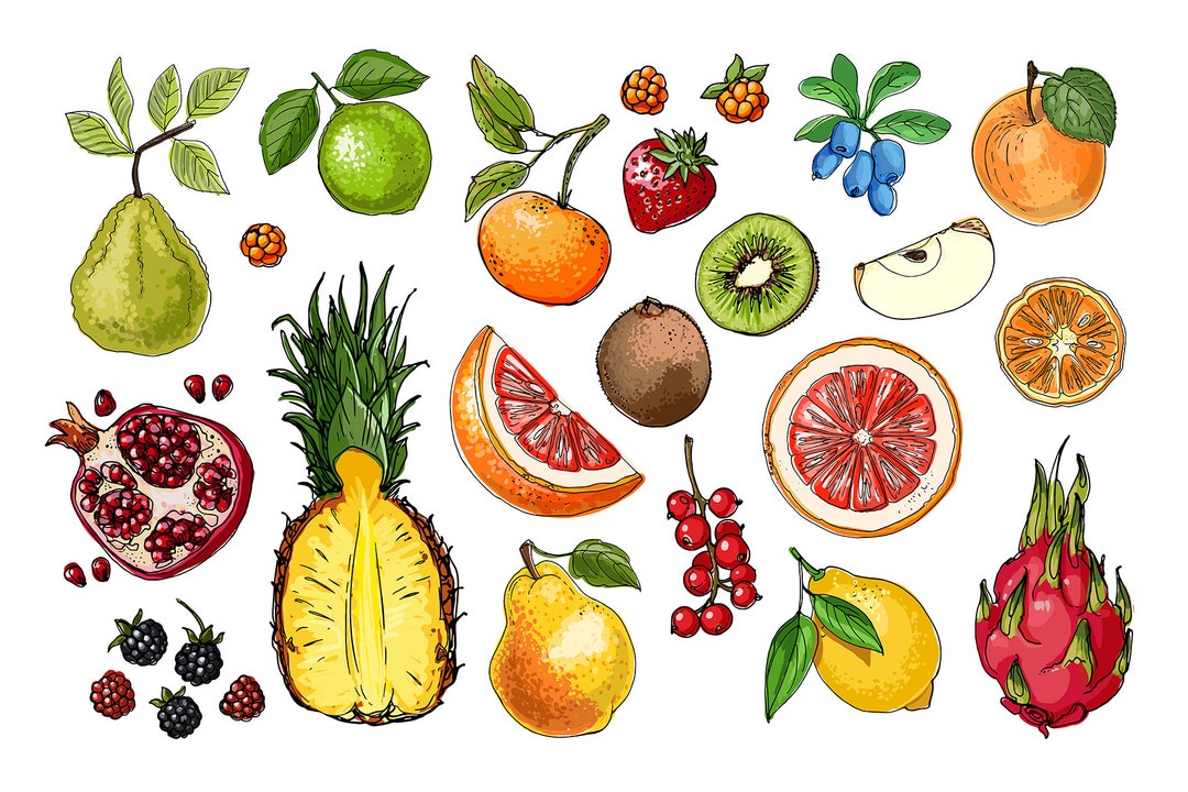 BIG SET. Vector Food Color Sketch: Vegetables Berries - Etsy