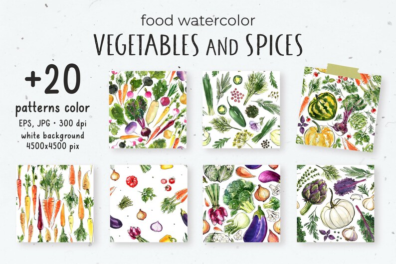 Watercolor Food Color Ink Sketch: Vegetables and Herbs. - Etsy