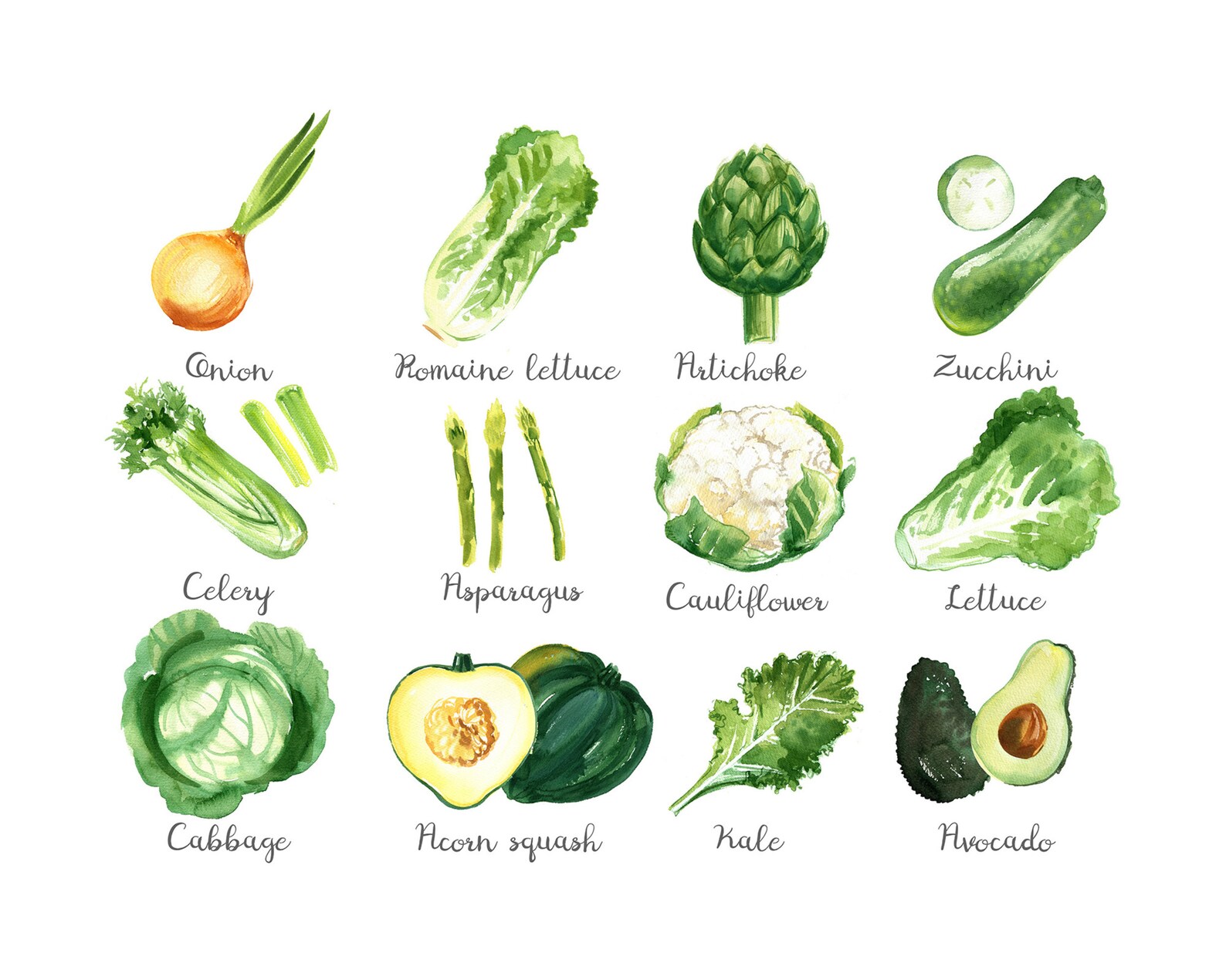 Poster With Watercolor Vegetables and Fruits English Alphabet. Decor ...