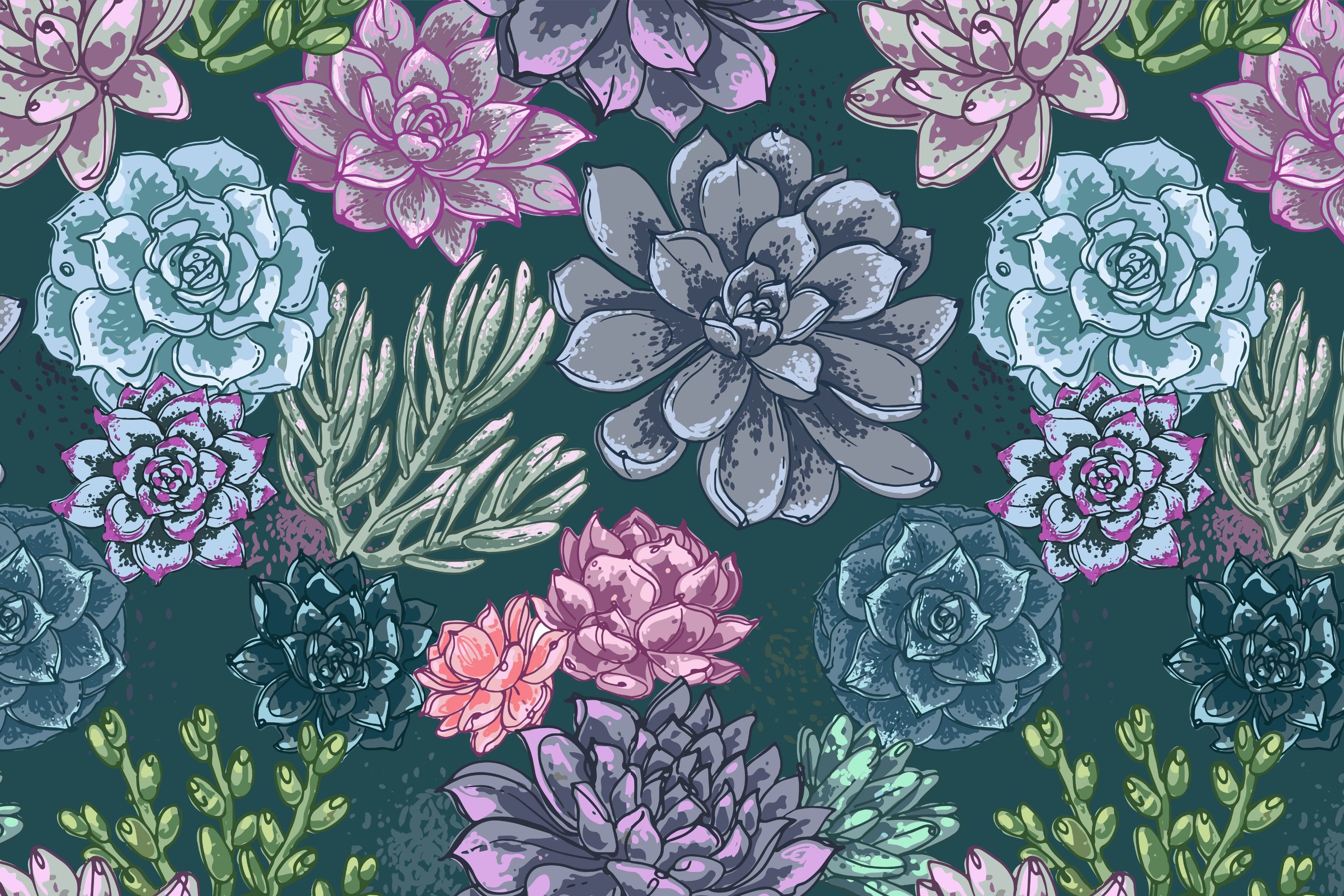 Succulents. Vector Color Flowers Clipart - Etsy