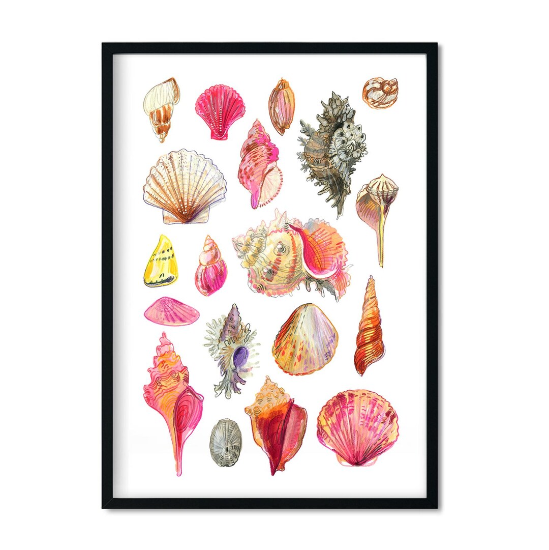 Seashell Posters. Graphics for the Interior, Nursery Decor. - Etsy