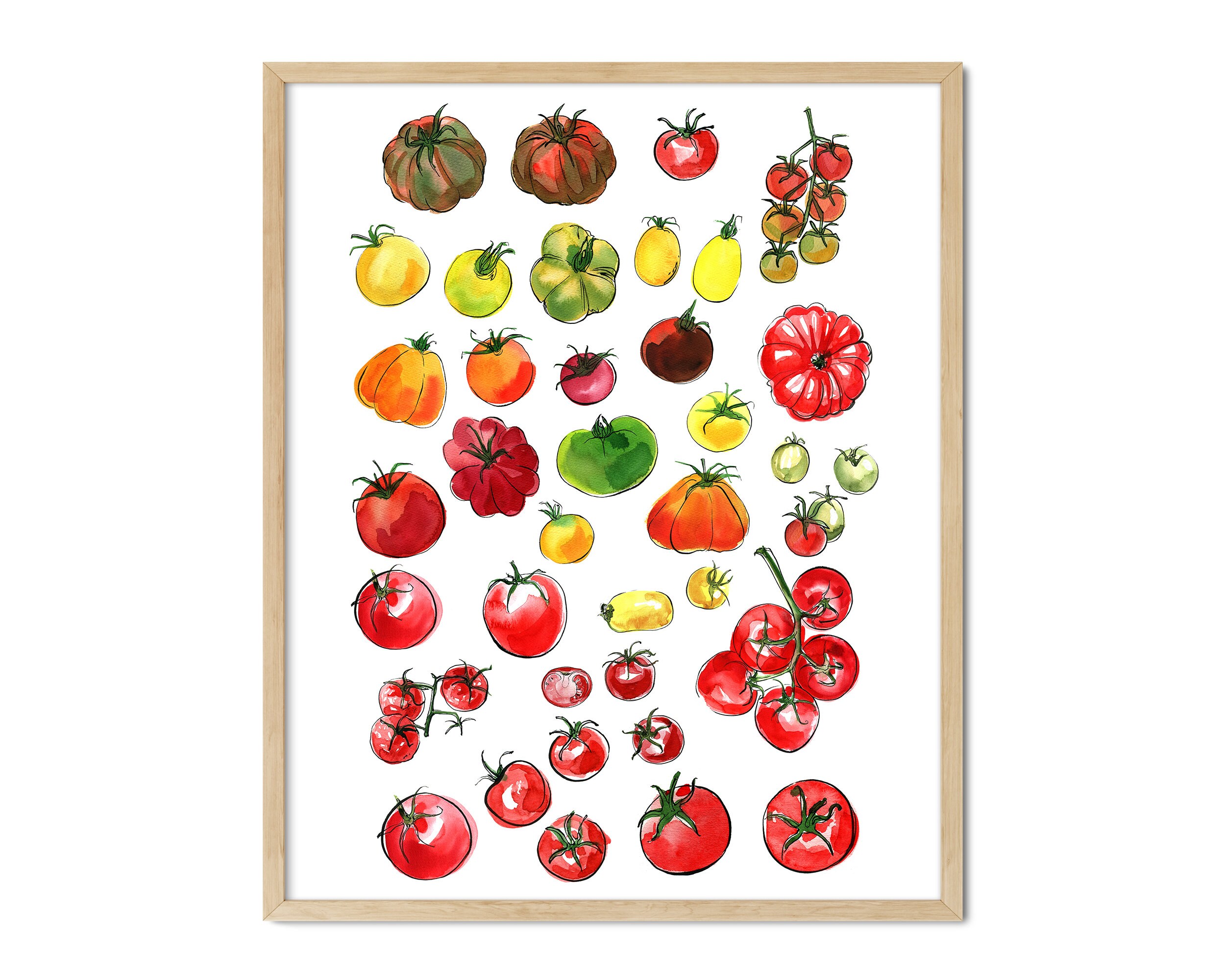 Poster of Colorful Tomatoes in Watercolor and Ink. Posters With Food ...