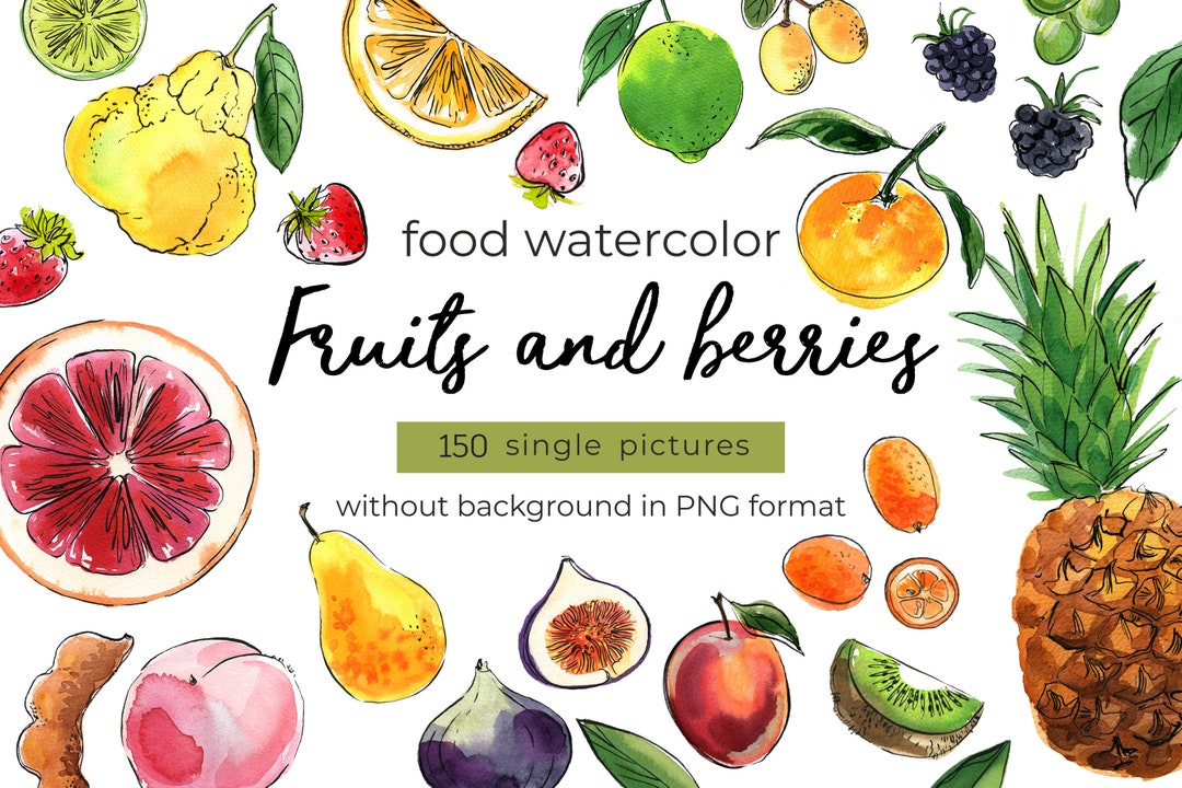 Watercolor Food Color Ink Sketch: Fruit, Berries, Citrus. - Etsy