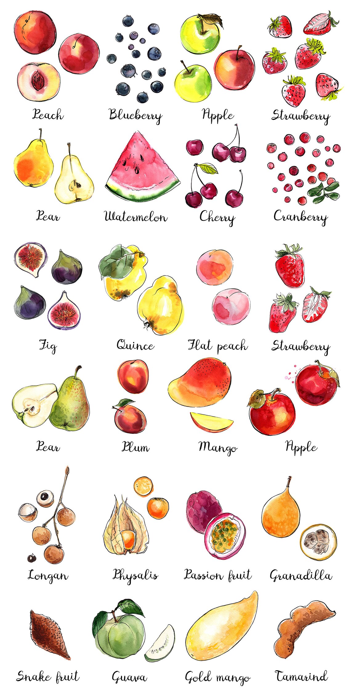 Watercolor Food Color Ink Sketch: Fruit, Berries, Citrus. - Etsy