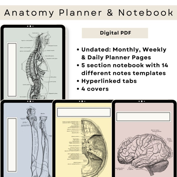 Goodnotes Anatomy Etsy Ireland Goodnotes Anatomy Etsy Ireland