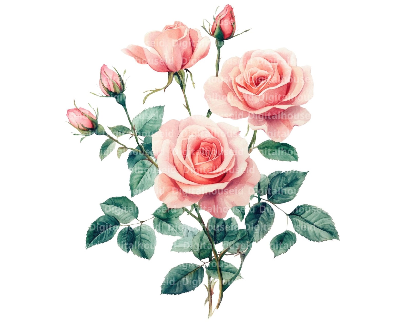 10 Pink Roses Long Stems Clipart, Roses Bouquet, Printable Watercolor ...