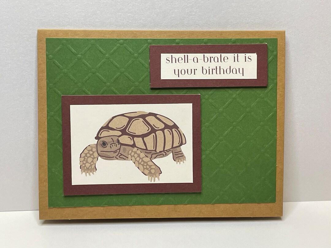 Shell-a-brate Tortoise - Birthday Card - Etsy