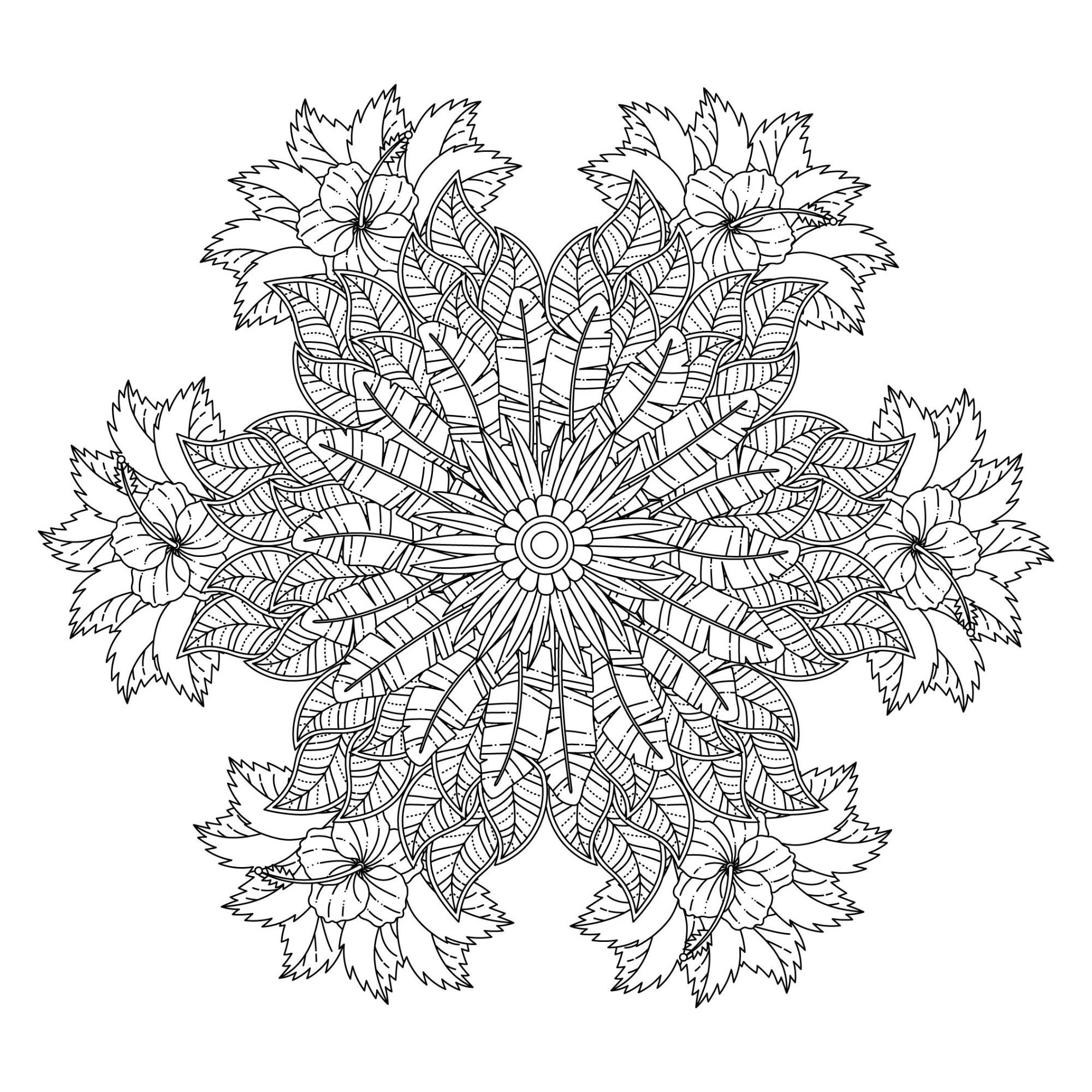Jungle Mandala Coloring Pages, Detailed Designs Instant Download - Etsy