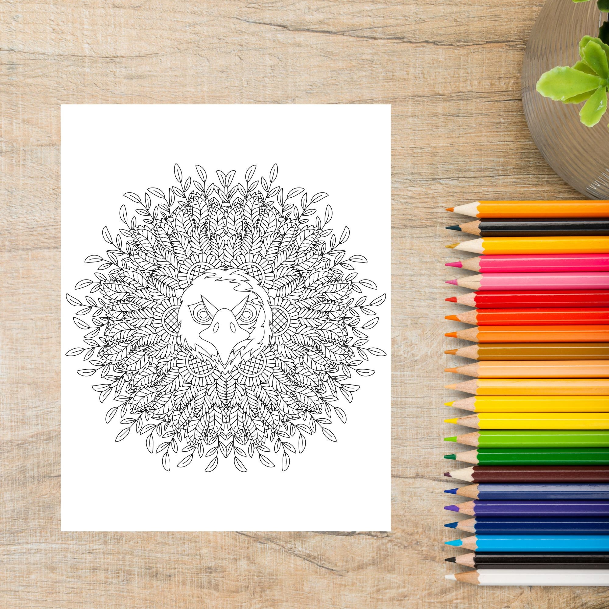 Jungle Mandala Coloring Pages, Detailed Designs Instant Download - Etsy