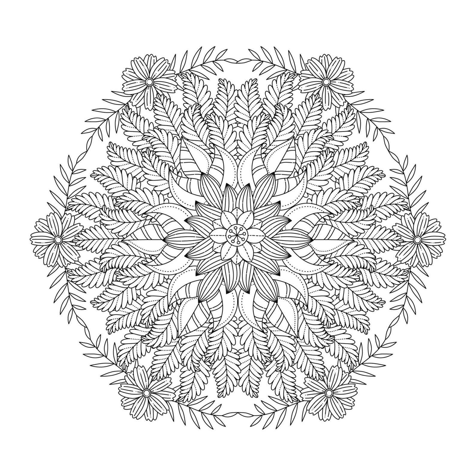 Jungle Mandala Coloring Pages, Detailed Designs Instant Download - Etsy