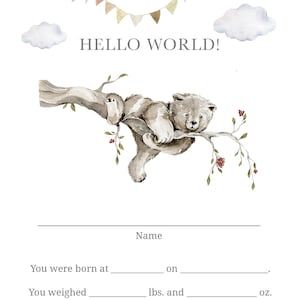 Baby Boy's Milestone Cards (woodland Bear Forest) - Etsy