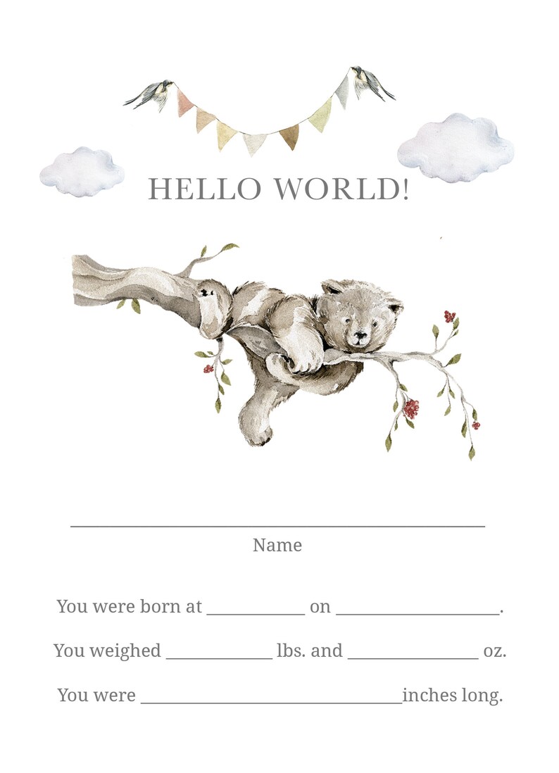 Baby Boy's Milestone Cards (woodland Bear Forest) - Etsy