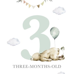 Baby Boy's Milestone Cards (woodland Bear Forest) - Etsy